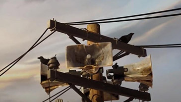 Undawn Official Website